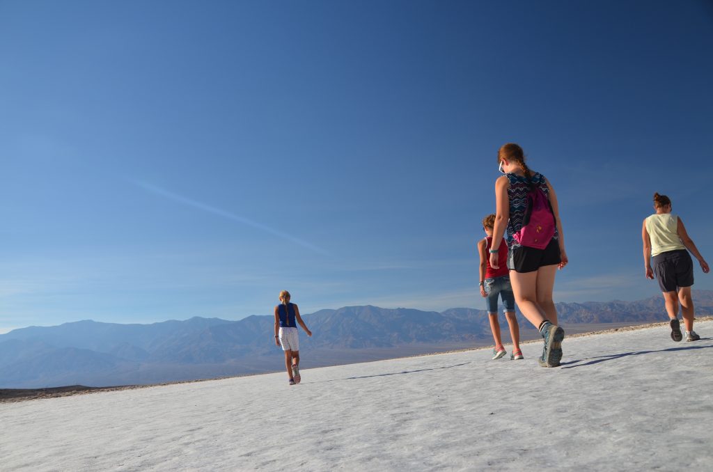 Rattlesnakes and Tarantulas in Death Valley – kennaontheroad